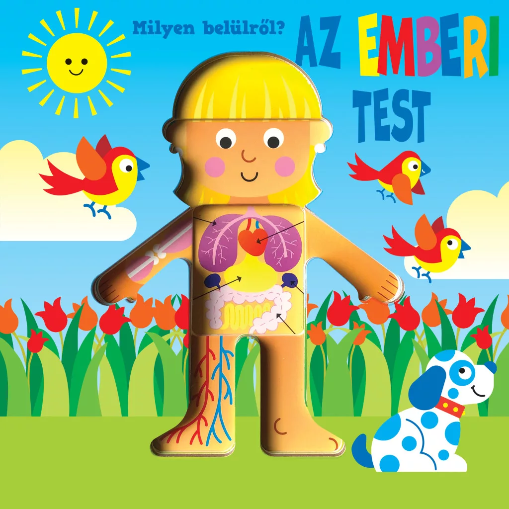 Milyen belülről – Az emberi test | Interaktív karton lapozó