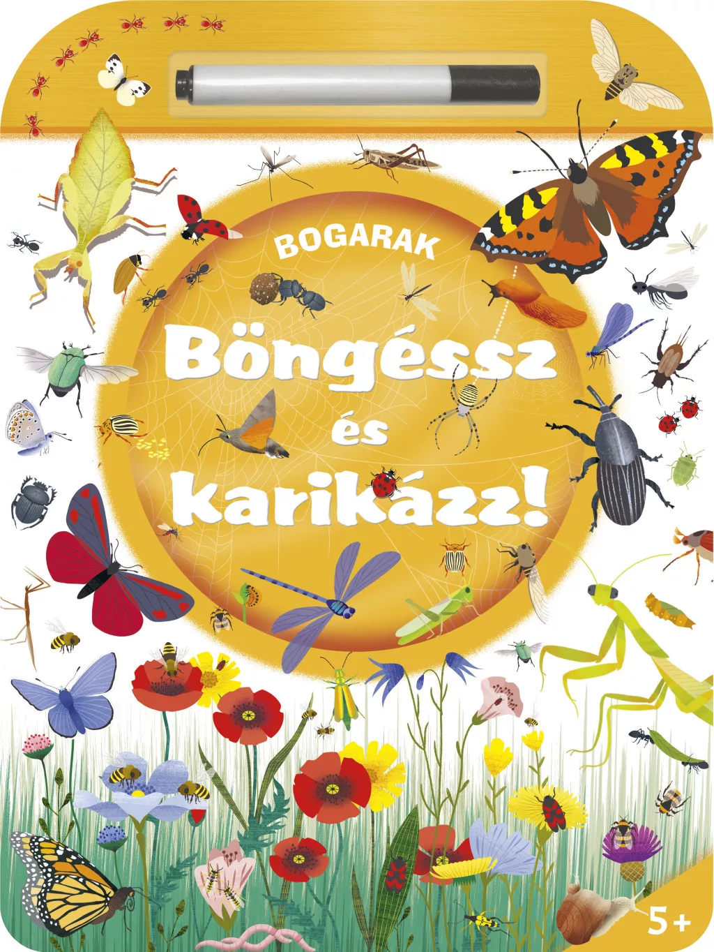 Böngéssz és karikázz! – Bogarak | Törölhető rovaros kereső-f